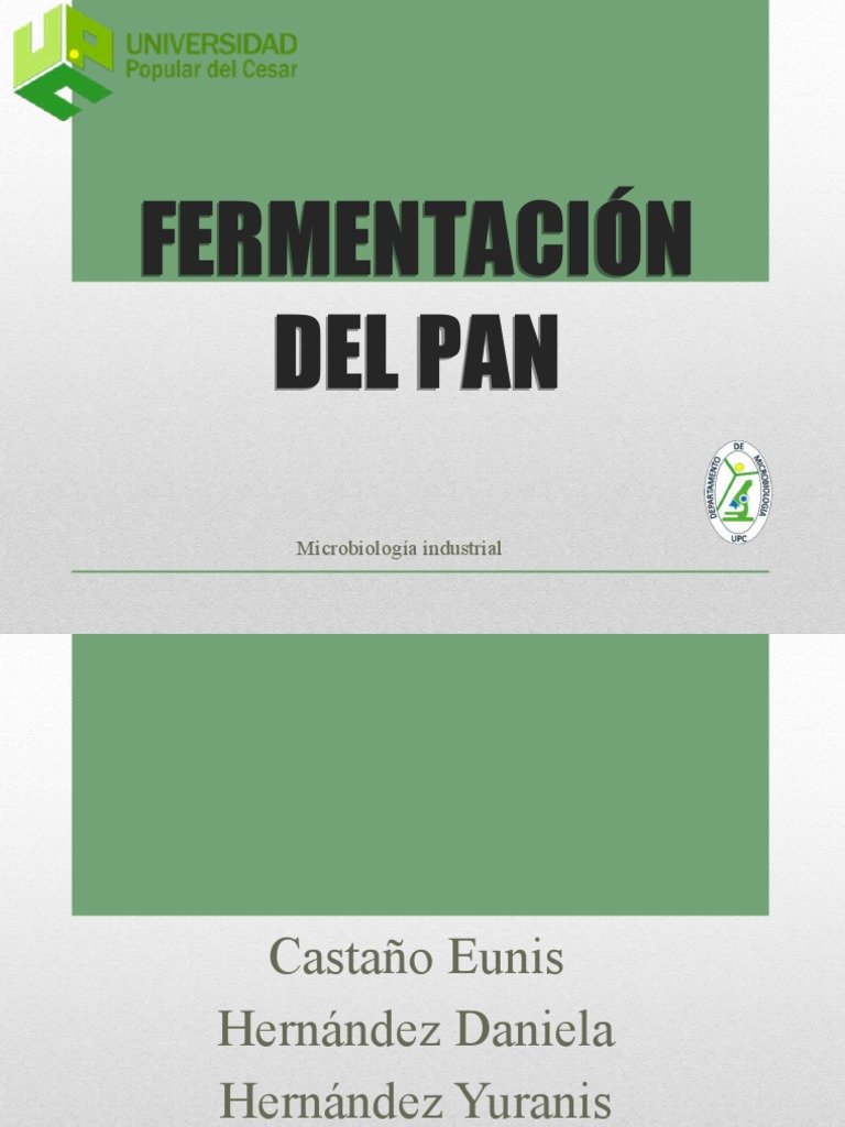 Proceso de Fermentación del Pan | PDF | Panes | Levadura