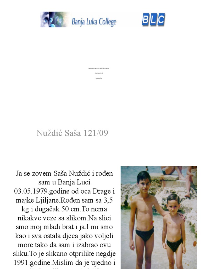 Seminarski Rad - Informatika | PDF