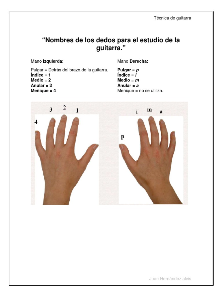 Dedos Para Acordes De Guitarra Curso Básico De Guitarra: Los Dedos De