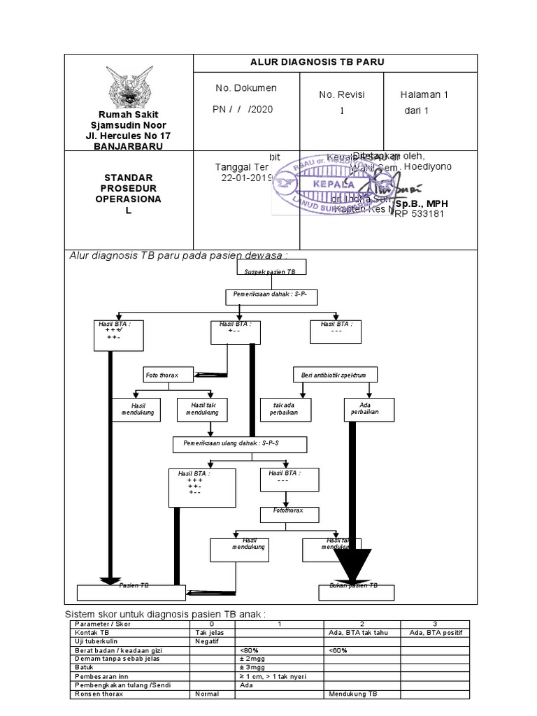 Alur Diagnosis dan Penanganan TB Paru | PDF