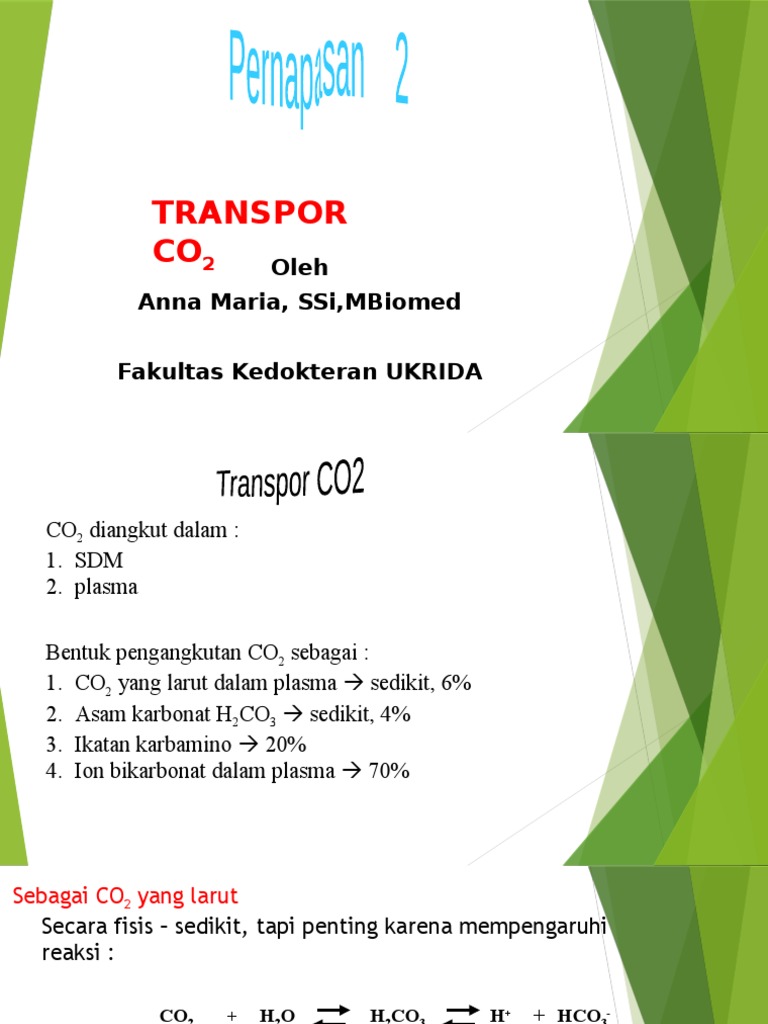 Biokimia Pernapasan - Transport CO2 | PDF