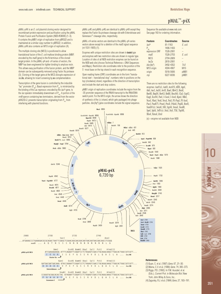 pMAL-p4X Map | PDF | Molecular Cloning | Operon