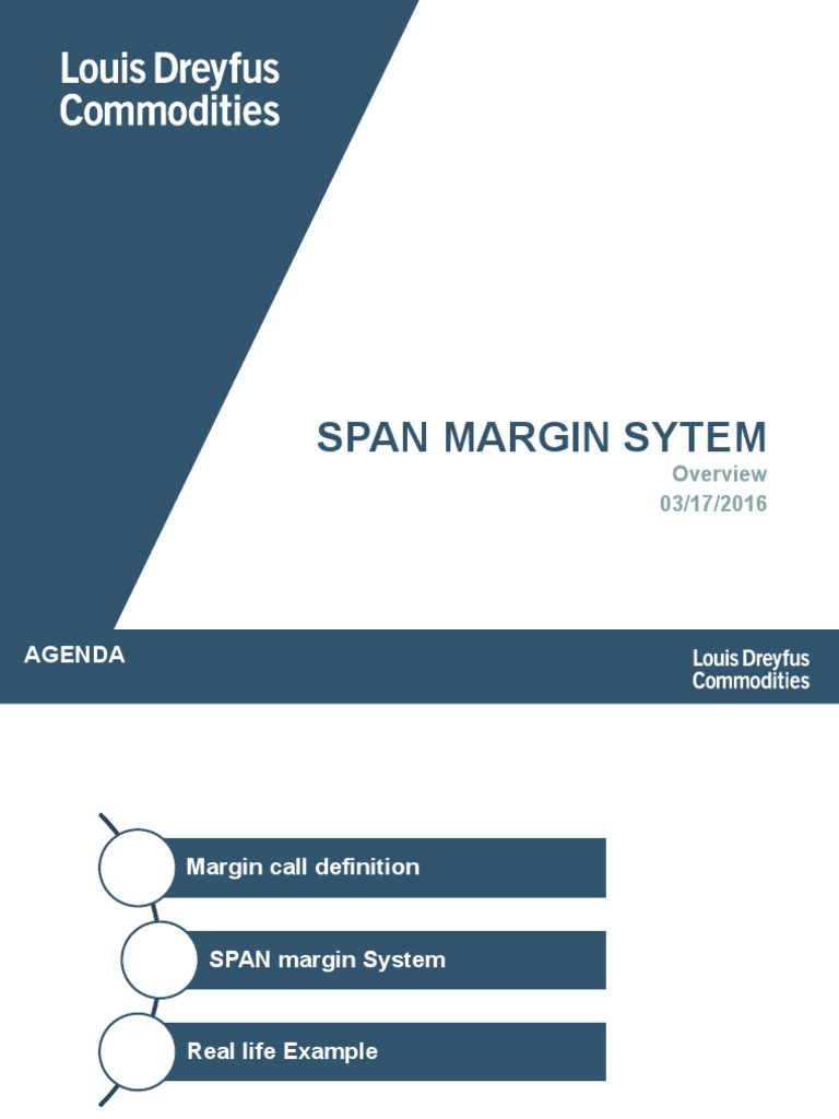 SPAN Margin System For Platforms | PDF | Margin (Finance) | Futures ...