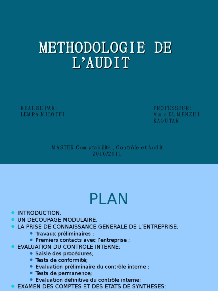 La Démarche de L'audit | PDF