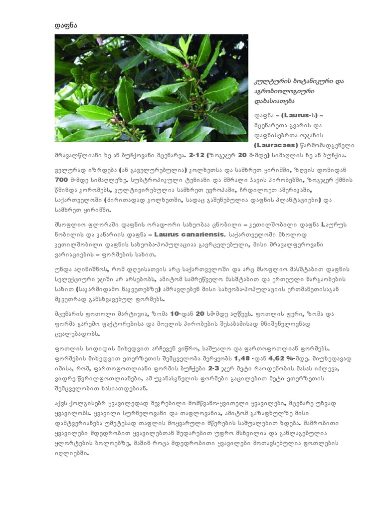 Laurus | PDF