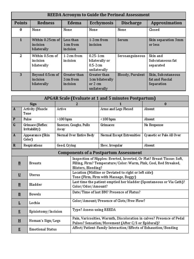 REEDA Acronym To Guide The Perineal Assessment Points Redness Edema Ecchymosis Discharge ...