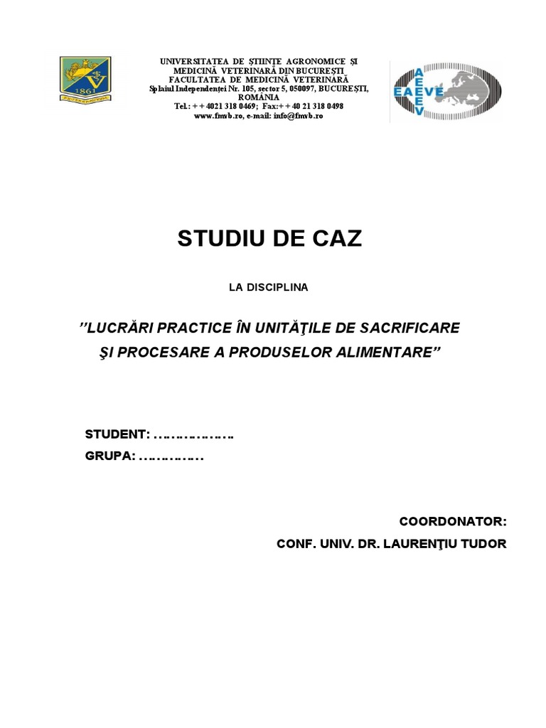 MACHETA Studiu de Caz | PDF
