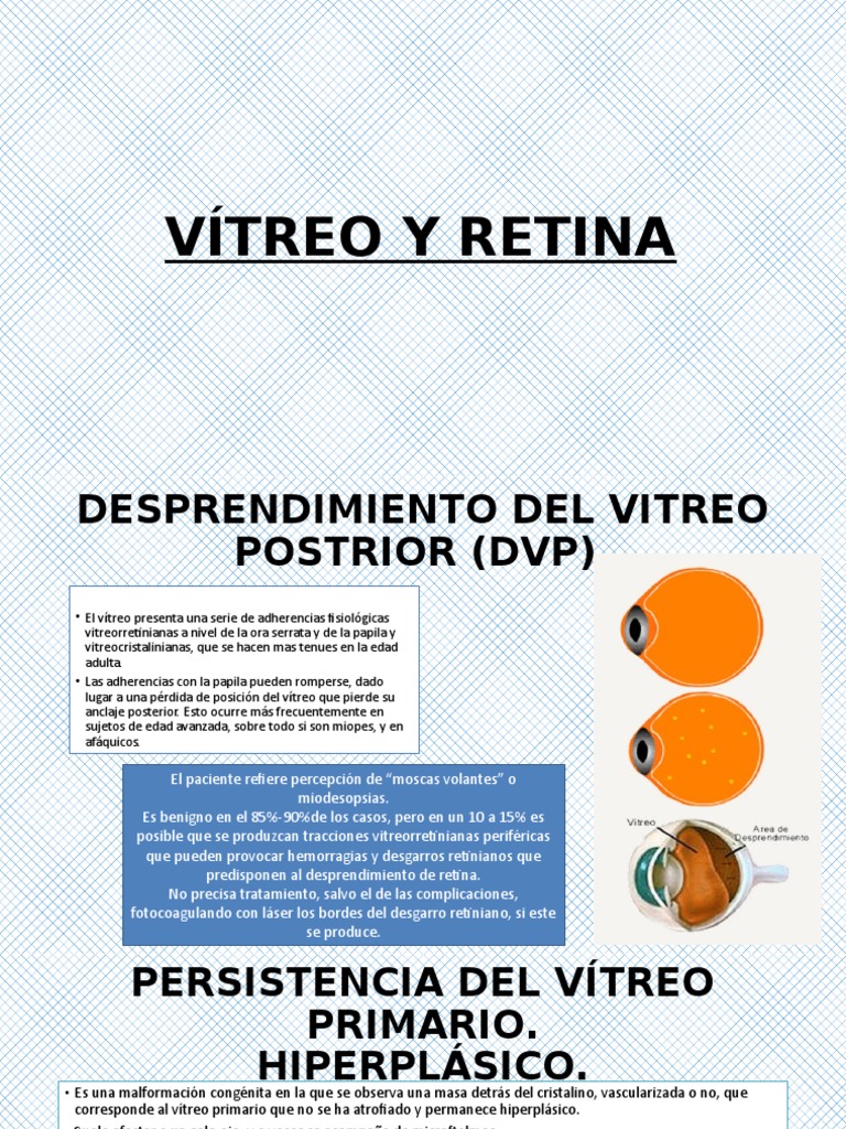 Vítreo y Retina | PDF | Diabetes | Visión