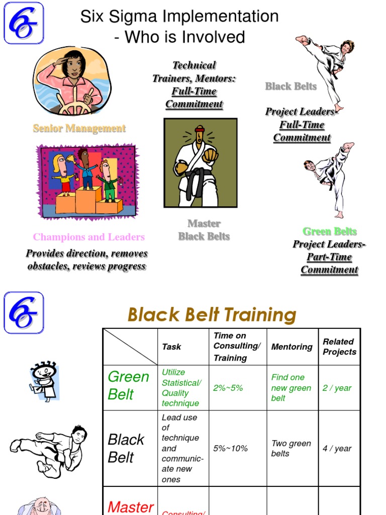Six Sigma Overview | PDF | Six Sigma | Business