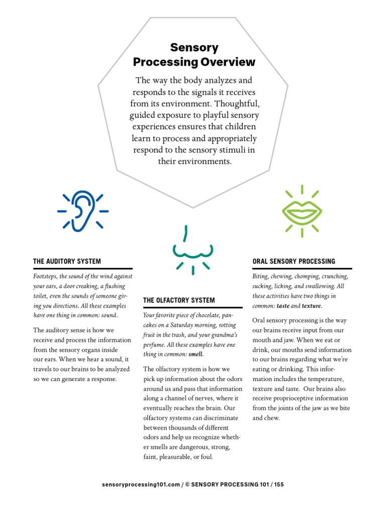 Sensory Processing FREE Starter Pack PDF | PDF | Senses | Sensory ...