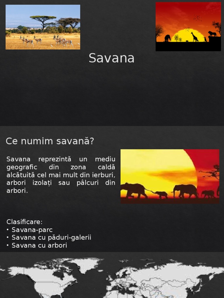 Savana | PDF