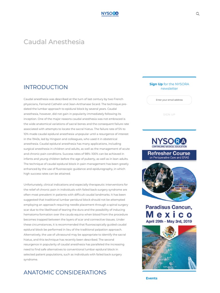Caudal Anesthesia - NYSORA | PDF | Vertebral Column | Anesthesia