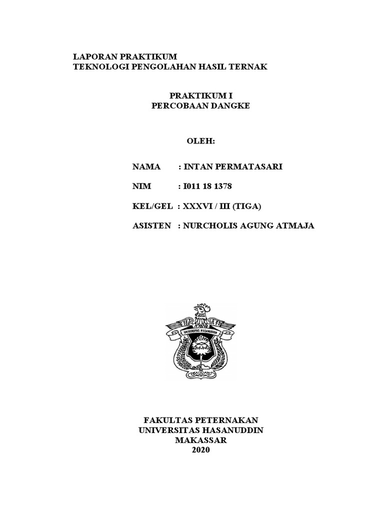 ASS 3 DANGKE Intan | PDF