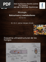 Ii. 6.1. Agentes Cromogenicos y Fluorogenicos | PDF | Sustrato (Química ...