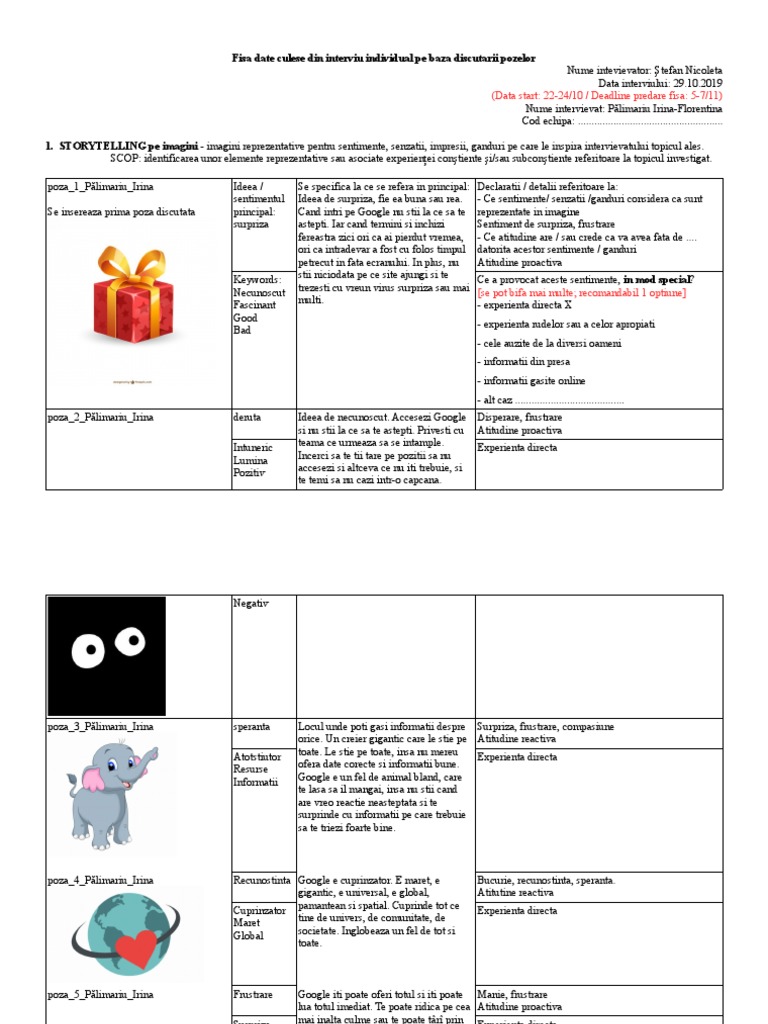 Fisa Culegere Date Interviu Irina | PDF