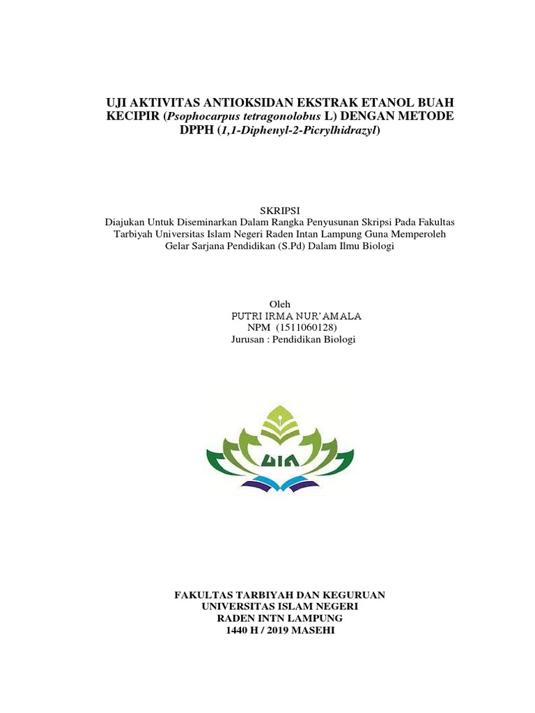 Uji DPPH | PDF