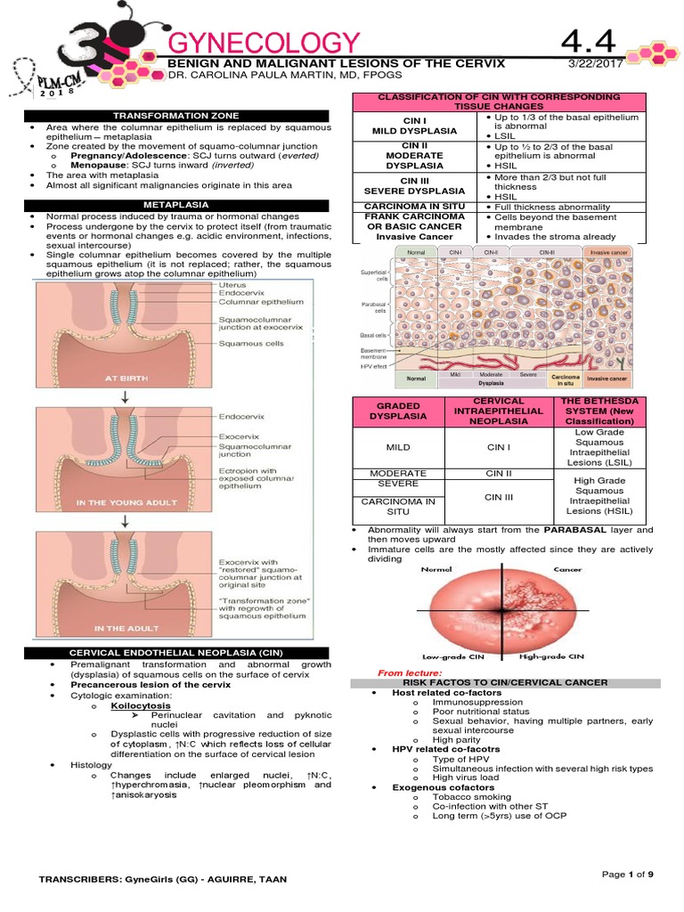 GYNE 4.08 Benign and Malignant Lesions of The Cervix | PDF | Cervical ...