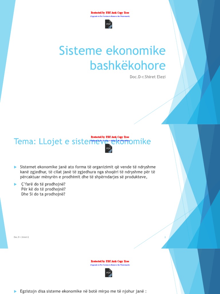 PDF Anti-Copy Watermark Removal Pro Upgrade | PDF