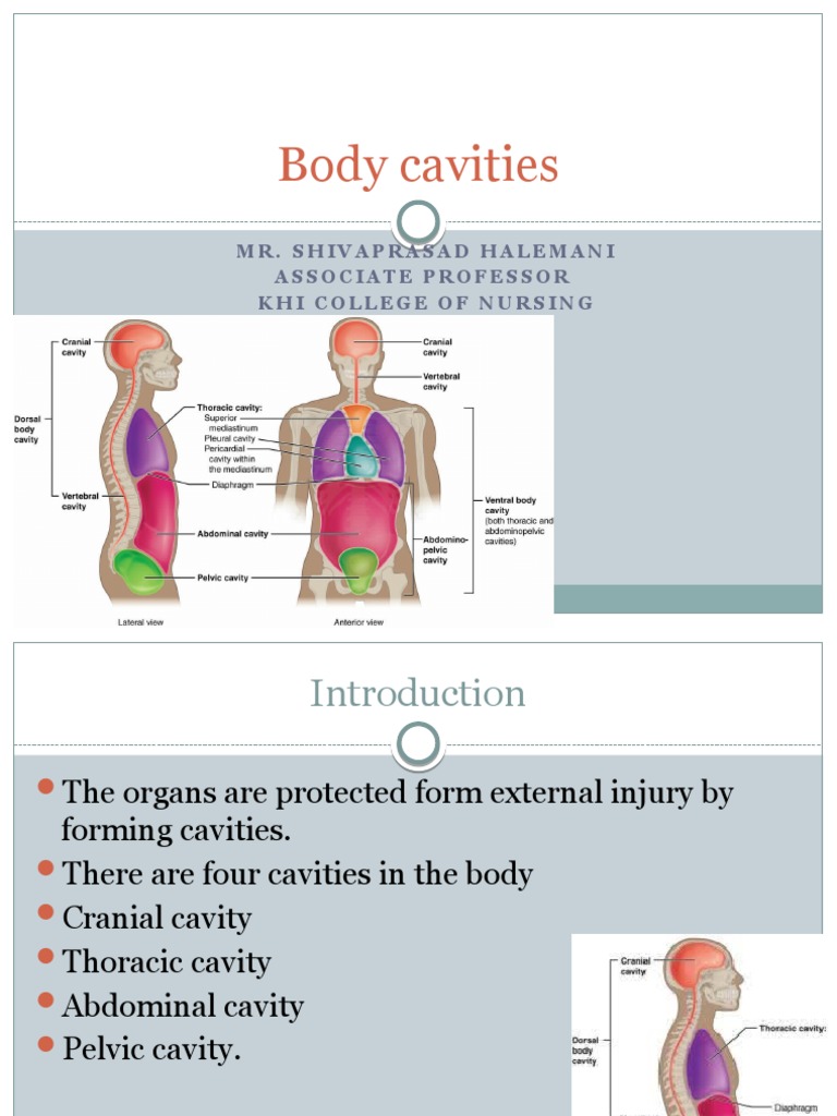 Body Cavities: Mr. Shivaprasad Halemani Associate Professor Khi College ...