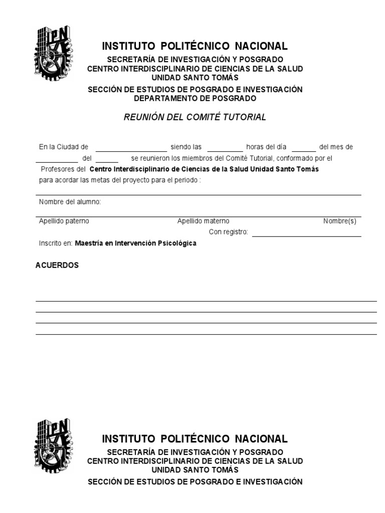 Formato Reunion Comité Tutorial Blanco | PDF