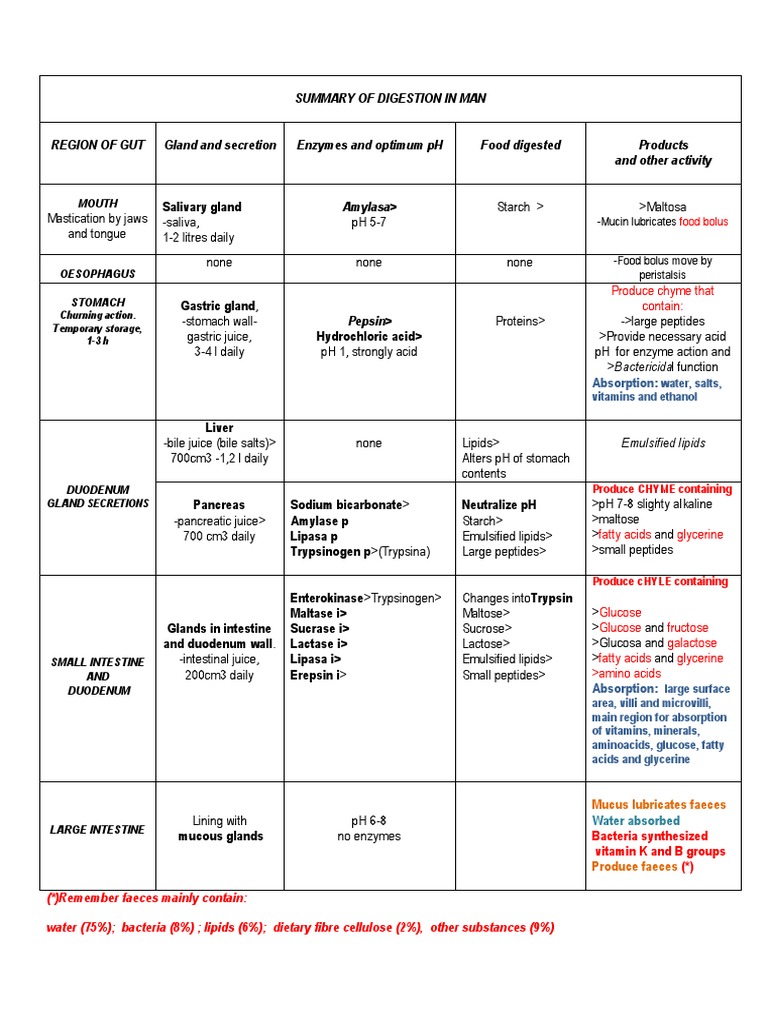 3 Summary of Digestion in Man | PDF | Digestion | Stomach