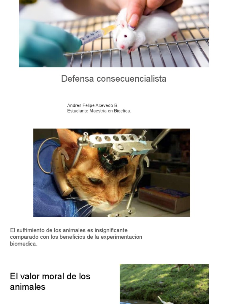 Beneficio Incalculable | PDF | Relaciones personales, crianza y ...