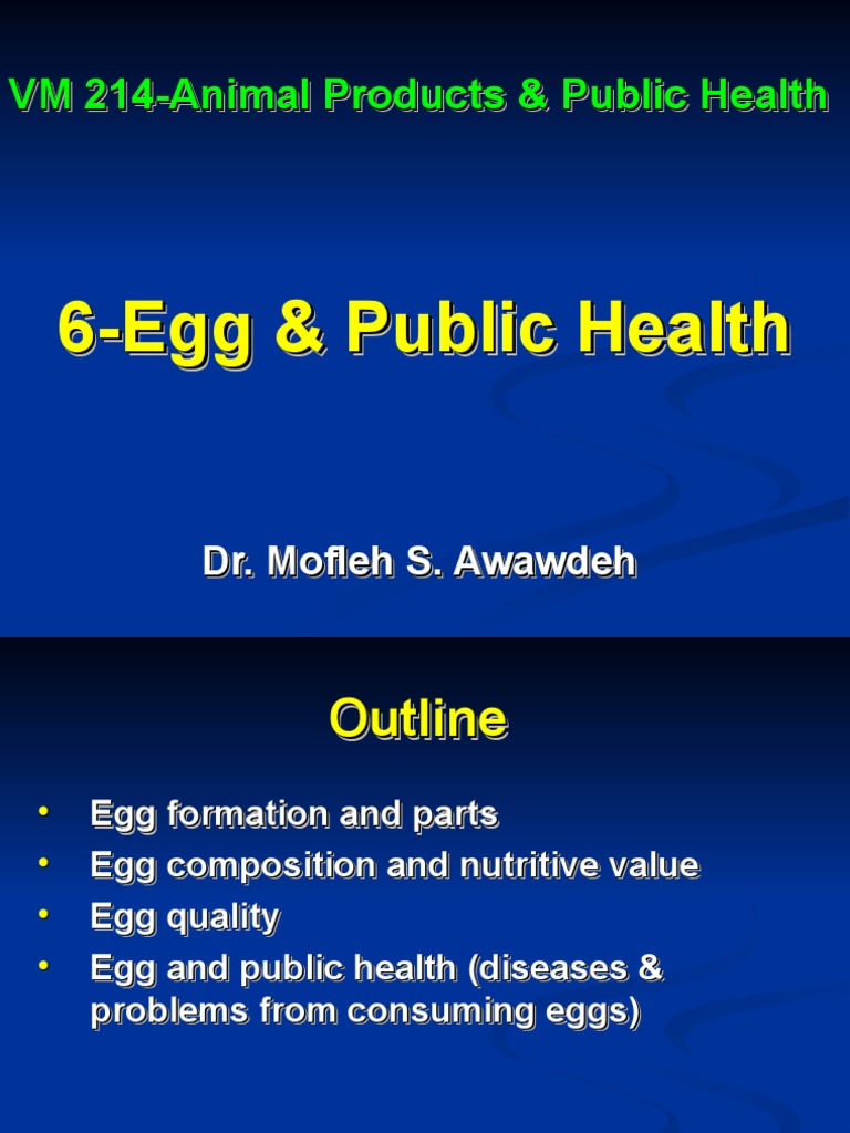 Egg Formation and Public Health Insights | PDF | Yolk | Egg As Food