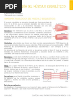 Estructura y función de la miosina | PDF | Biología Molecular ...