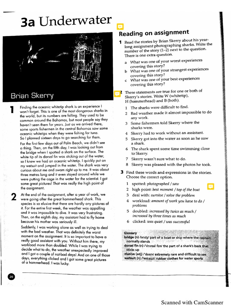 Life 3a - Resuelto | PDF