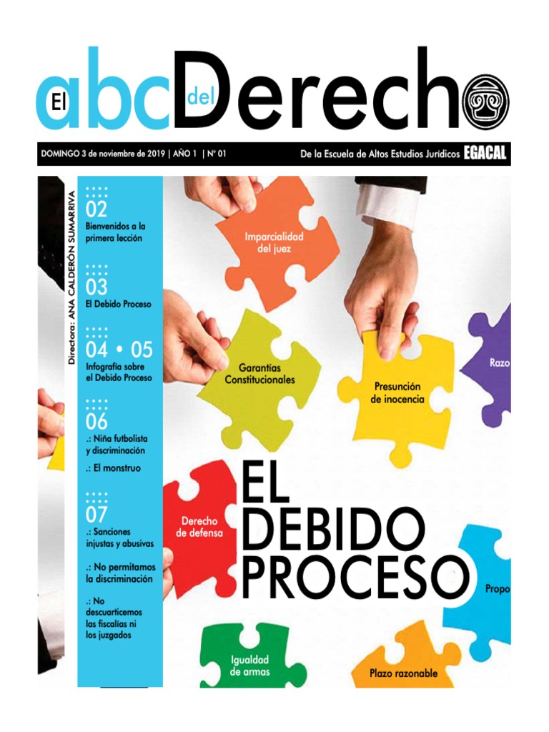 El Debido Proceso | PDF | Debido al proceso | Derecho Constitucional