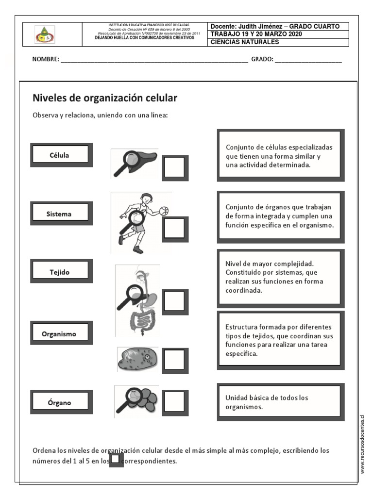 1. 780 FUNCIONES VITALES DE LOS SERES VIVOS | Biología Celular ...