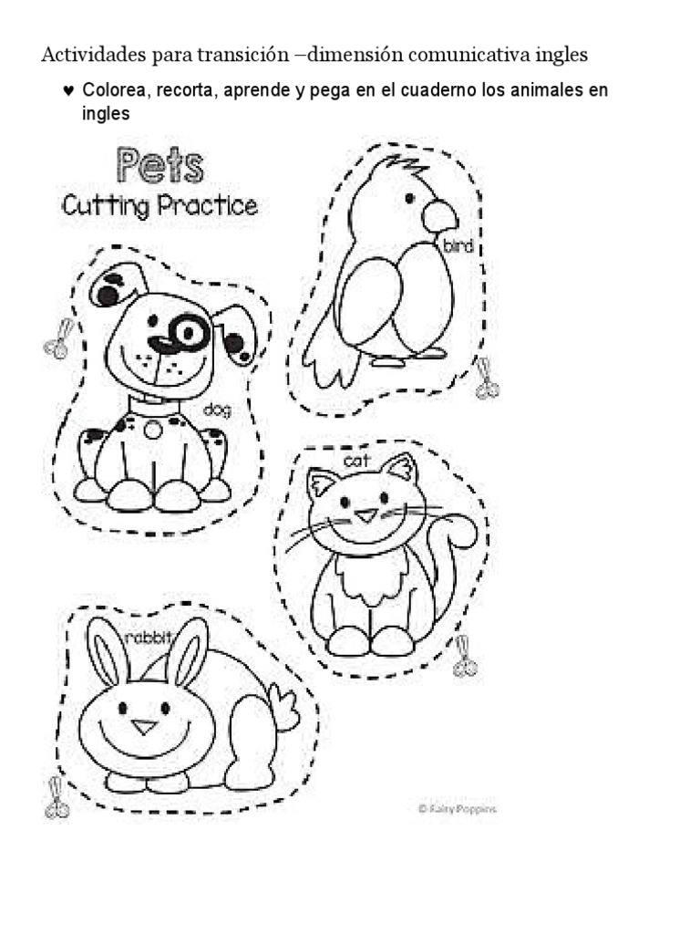 Actividades para Transición 3 | PDF