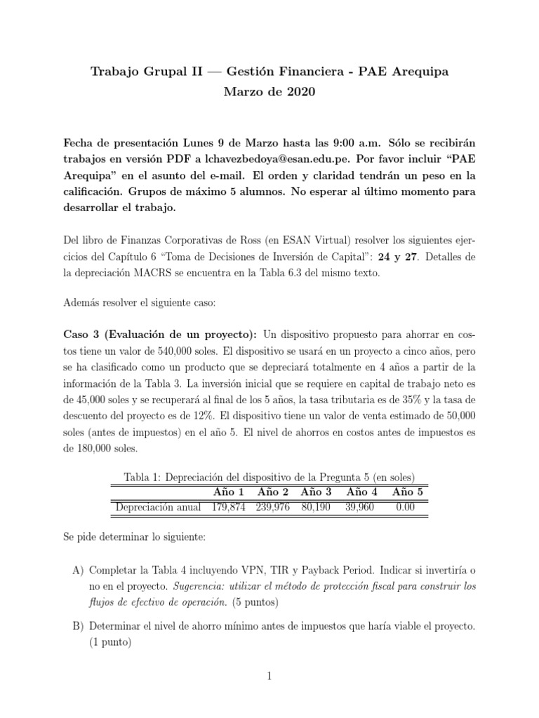 Trabajo Grupal II 2020 PAE | PDF | Depreciación | Business