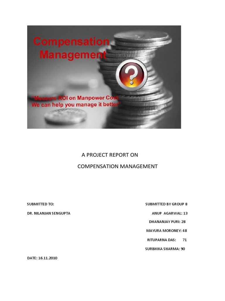 Compensation Management in Startups: A Case Study on Developing an ...