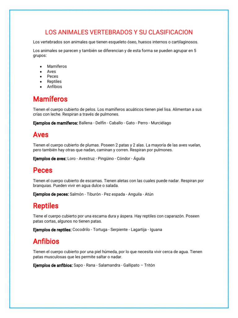 Clase de Segundo Vertebrados PDF | PDF | Naturaleza