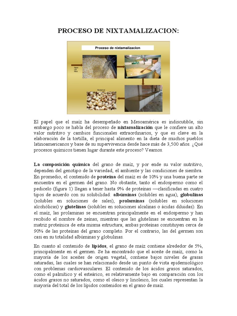 Nixtamalización: Clave Nutricional del Maíz | PDF | Almidón | Cereales