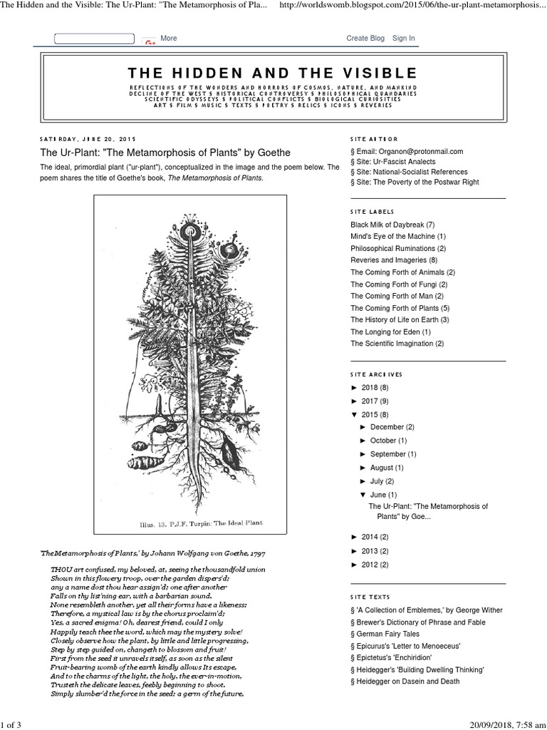 Archetypal Ur-Plant - in Metamorphosis of Plants by Goethe | PDF