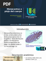 Analisis Coprologico en Perros | PDF | Heces | Especialidades Medicas