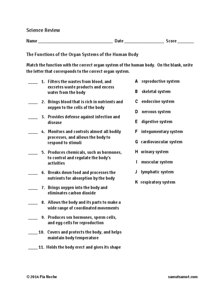 Quiz - Functions of The Organ Systems 1 | PDF
