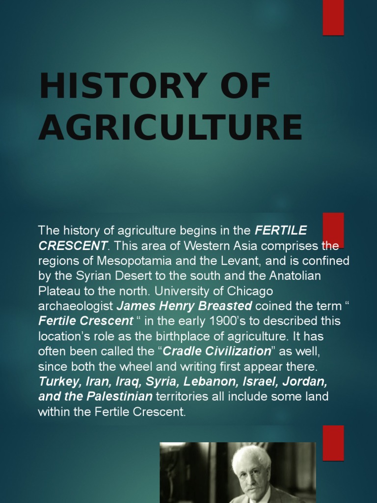 Evolution of Agriculture Through History | PDF | Fertile Crescent ...
