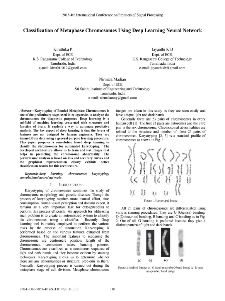 Classification of Metaphase Chromosomes Using Deep Learning Neural Network | Download Free PDF ...