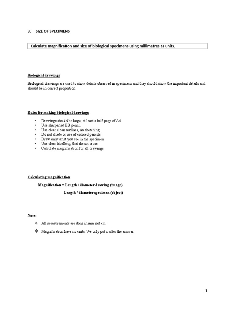 Biological Specimen Drawing Guidelines | PDF | Teaching Methods ...