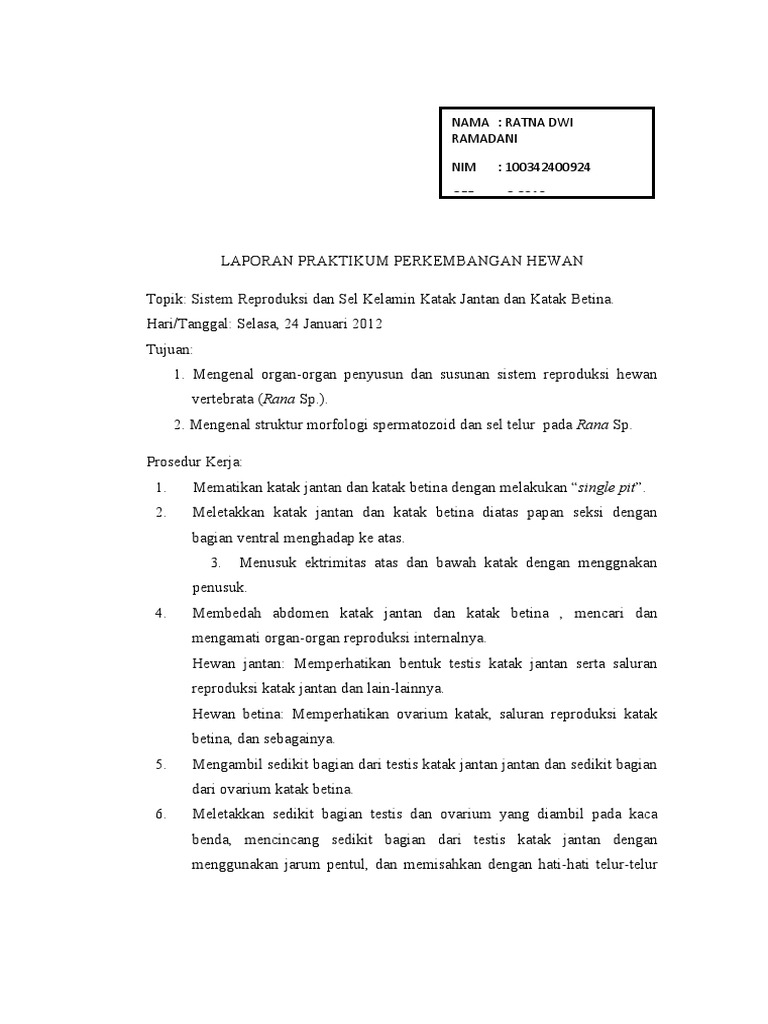 Sistem Reproduksi dan Sel Kelamin Katak Jantan dan Katak Betina | PDF