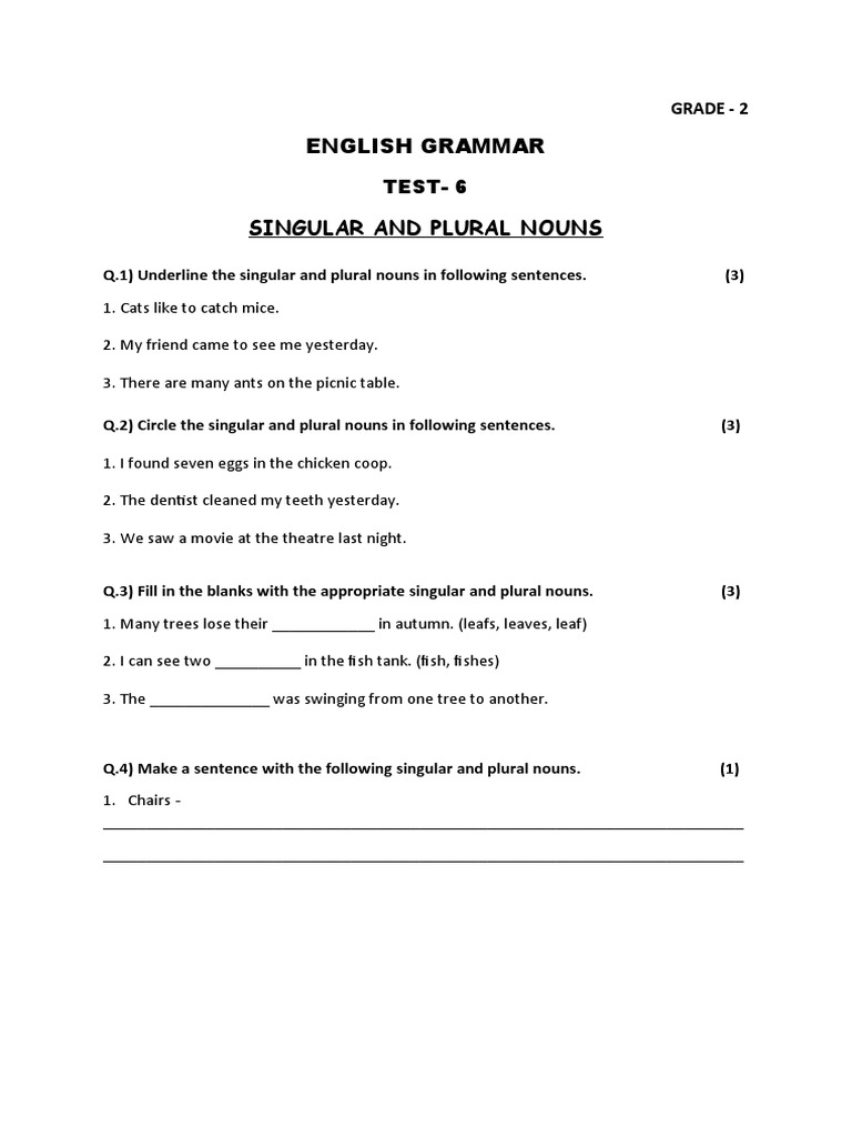 Singular and Plural Nouns Test | PDF