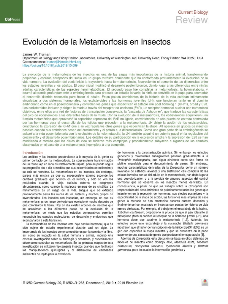 Evolución de la Metamorfosis Insectil | PDF | Insectos | Lepidópteros