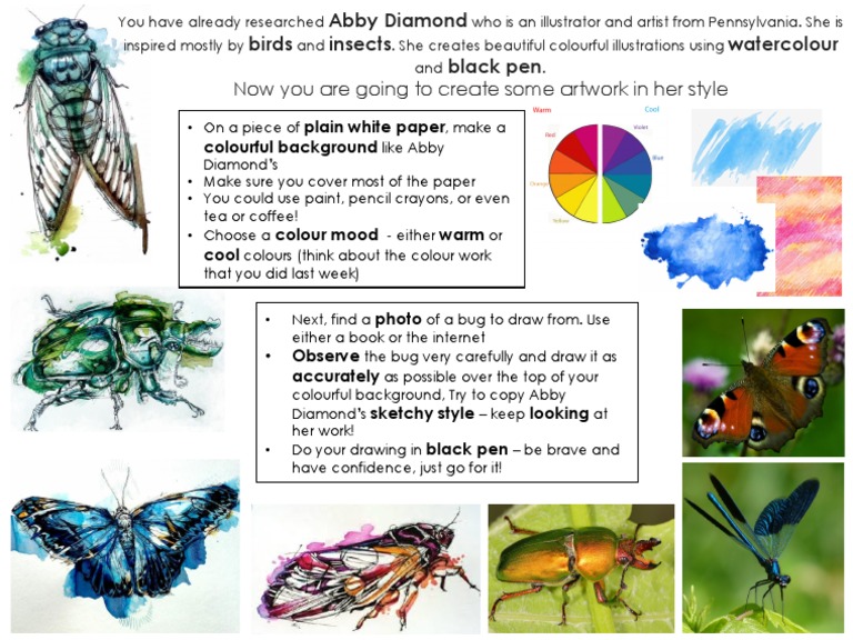 Year 7 Bugs Lesson 4 | PDF | Home & Garden