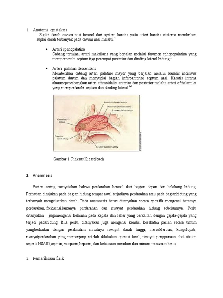 Anatomi Epistaksis | PDF