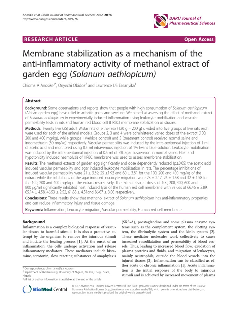 Membrane Stabilization As A Mechanism of The | PDF | Inflammation ...