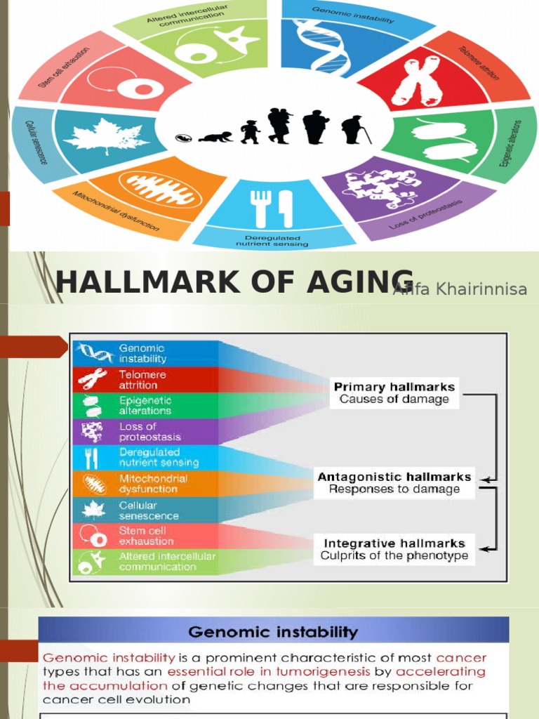 Hallmark of Aging | PDF