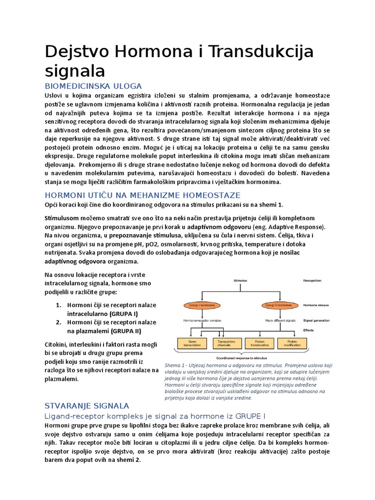 Biohemija Hormoni | PDF